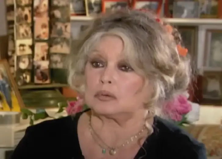 Brigitte Bardot- French Actress and Model, Age, Married, Children